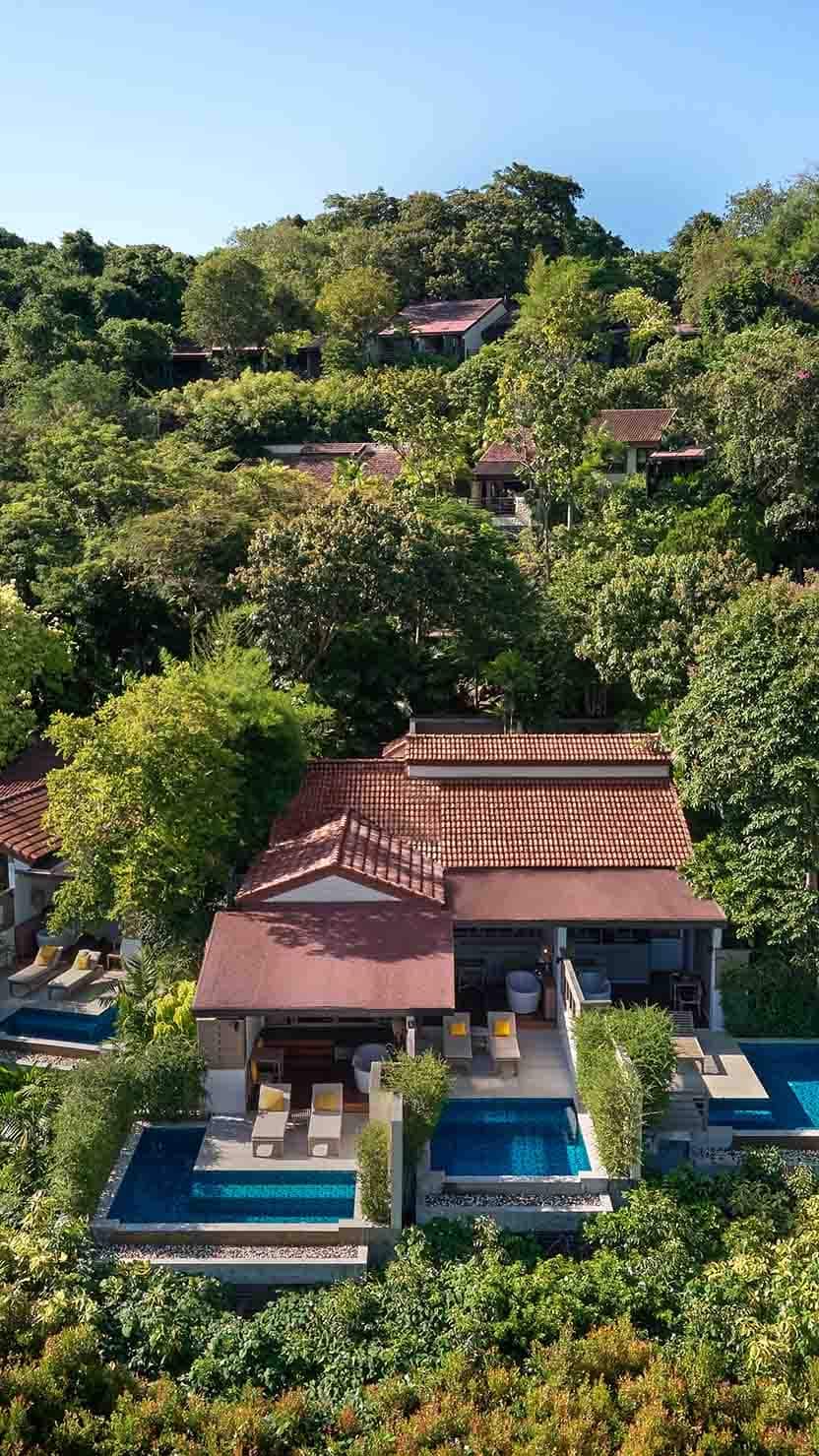 Garrya | Banyan Group